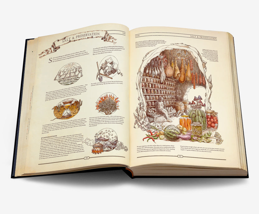 The Book: The Ultimate Guide to Rebuilding Civilization - Hungry Minds